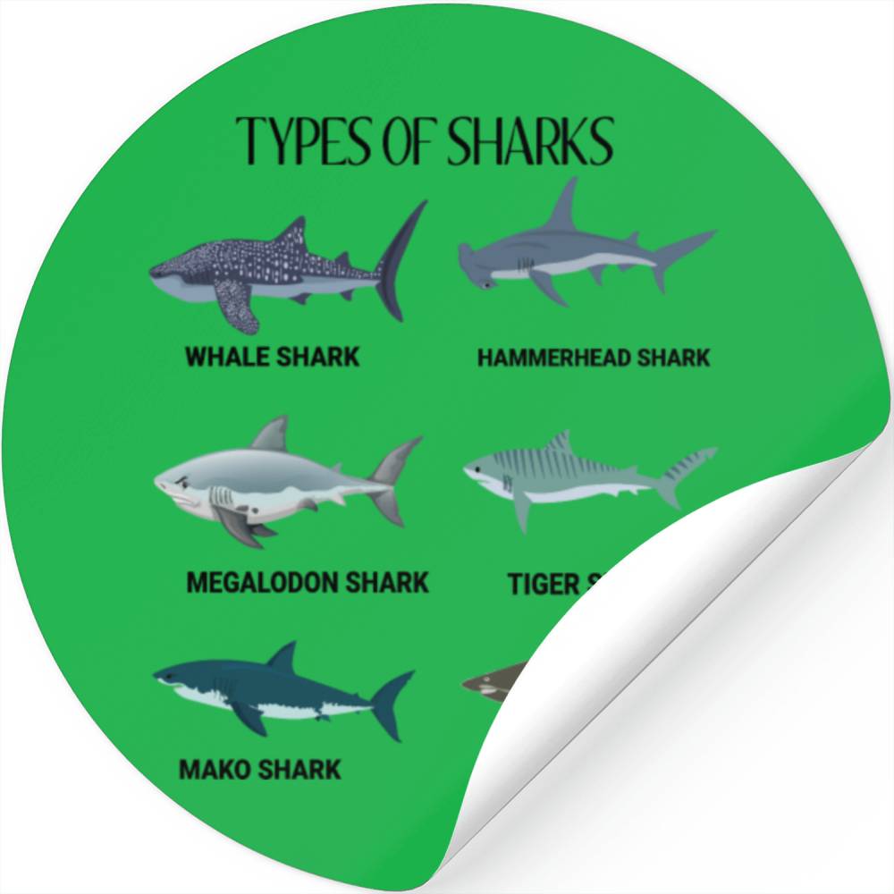Types Of Sharks Whale Shark Hammerhead Shark Tiger Designed & Sold By ...