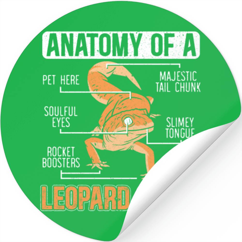 Anatomy Of A Leopard Gecko Lizard Animal Reptile Designed & Sold By Albano