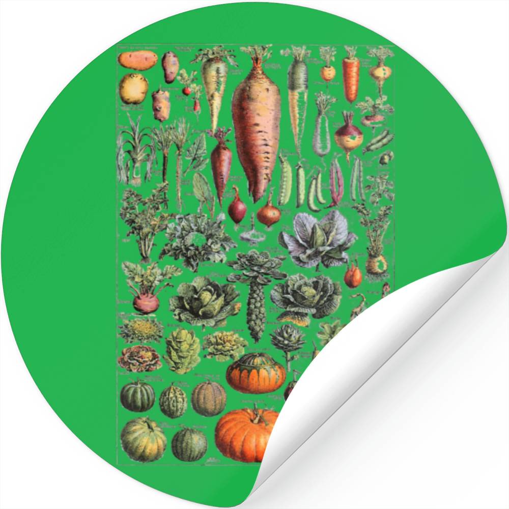 Kitchen Vegetable Identification Reference Chart Stickers Designed ...