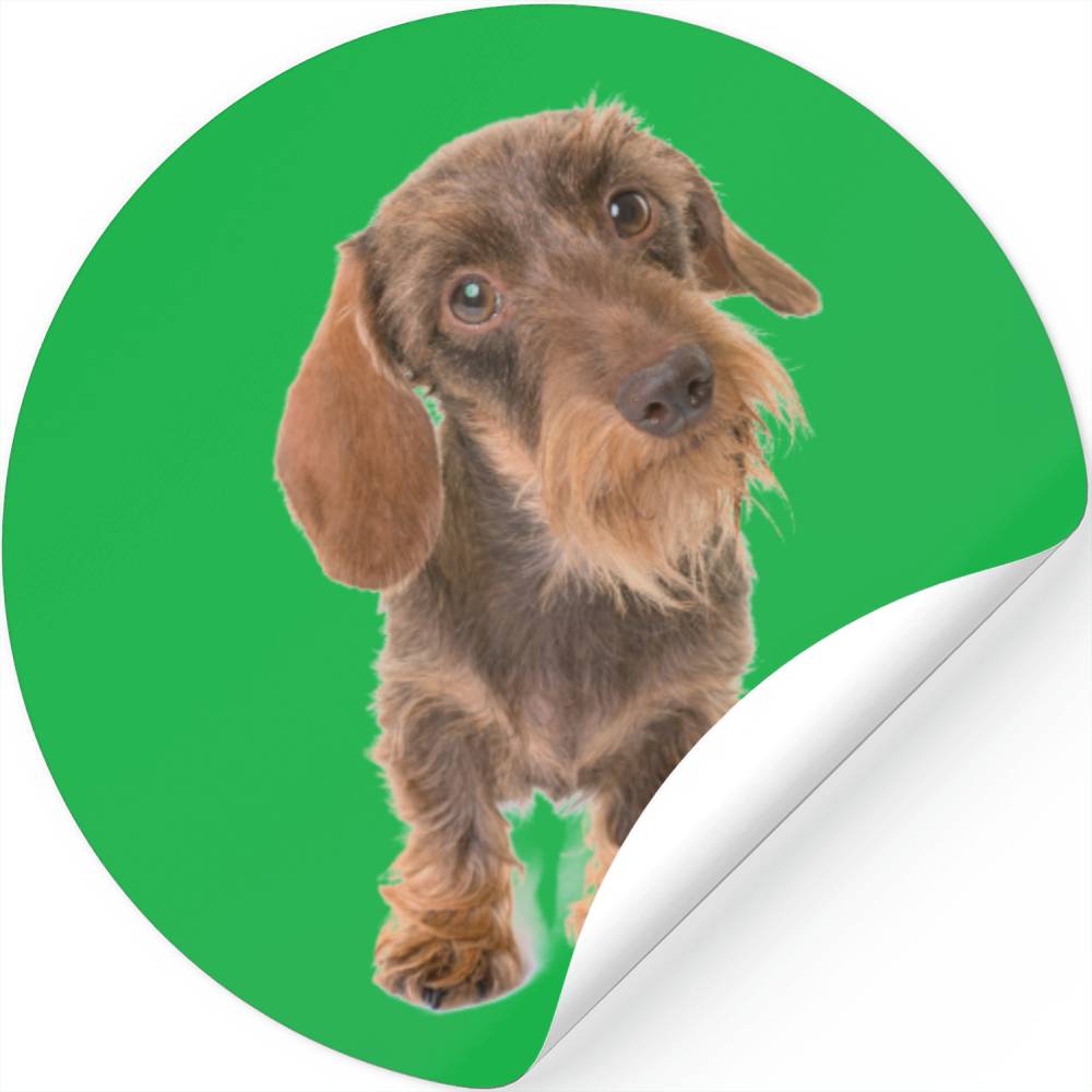 Cute Brown Dog Stickers Designed & Sold By Geo Law
