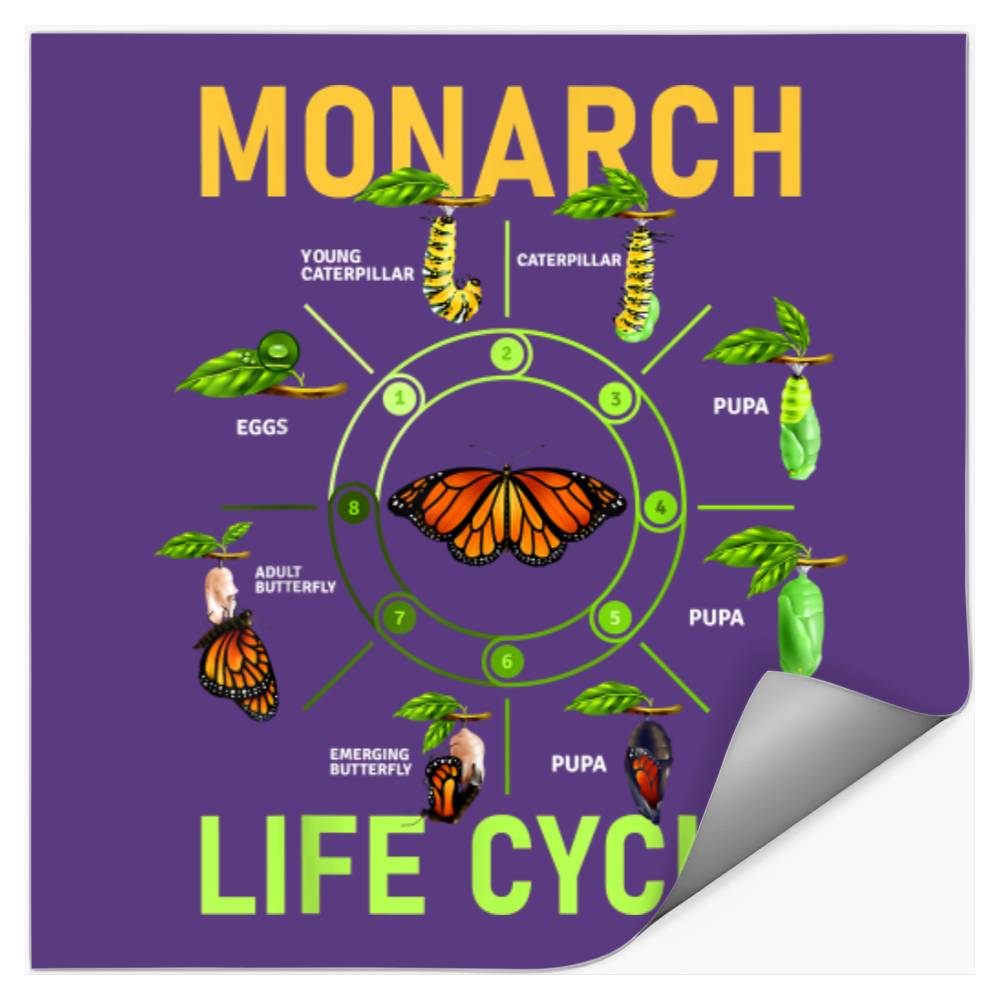 Monarch Butterfly Life Cycle Butterflies Nature Lover Gift Stickers ...