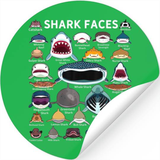 Types Of Shark Identification - Shark Faces - Shar Stickers Designed ...