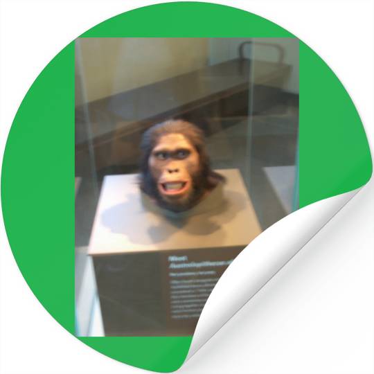 Australopithecus Africanus; Museum Exhibit Stickers Designed & Sold By ...