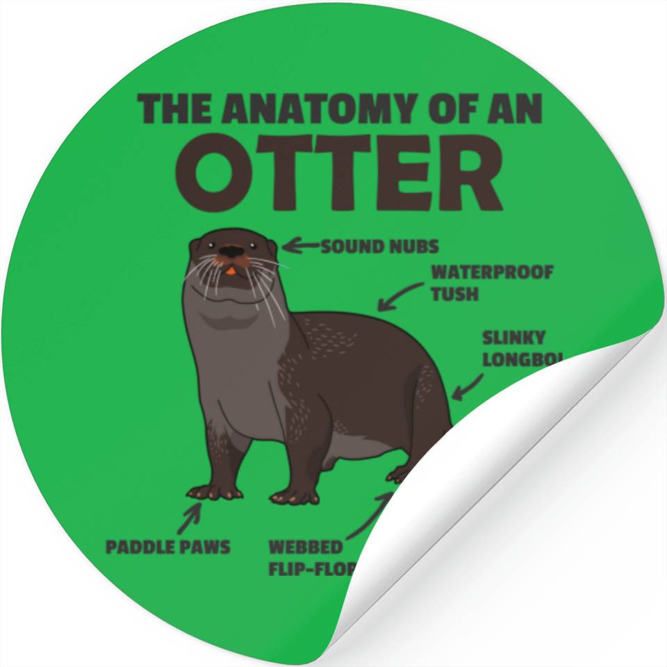 Cute Otter Explanation Anatomy Of An Otter Stickers Designed & Sold By ...