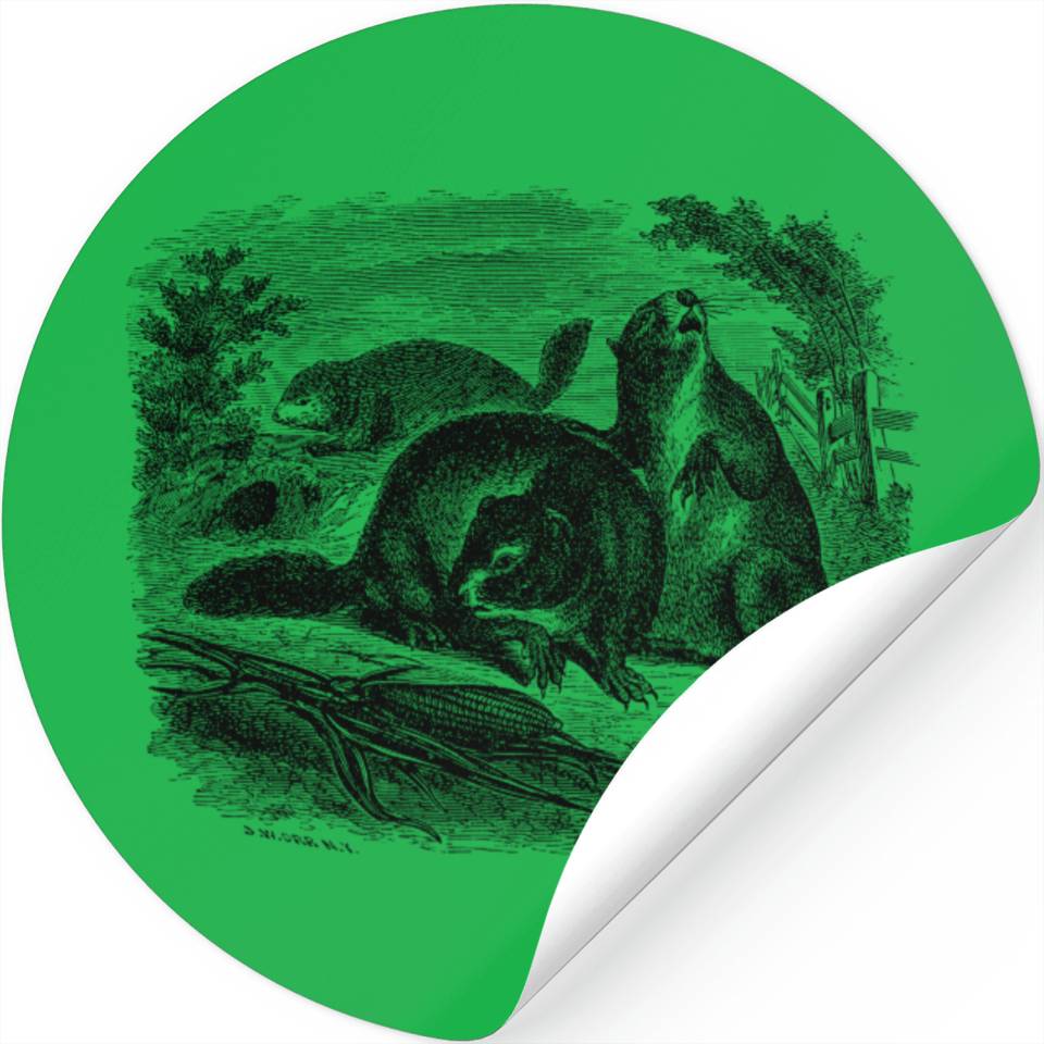 Vintage 1800s Woodchuck Retro Woodchucks Template Stickers Designed ...