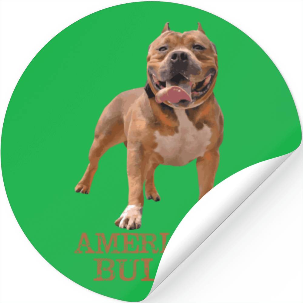 American Bully