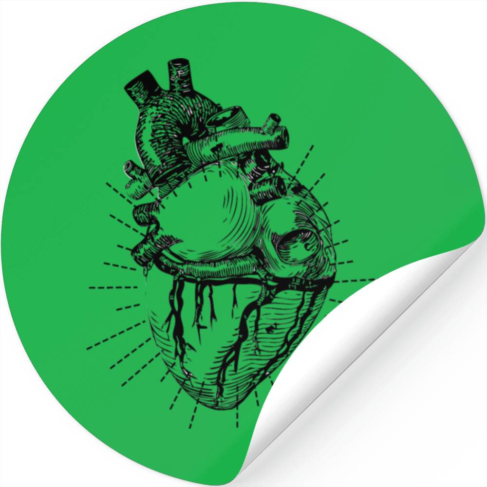 Real Heart Structure,simple Heart Design