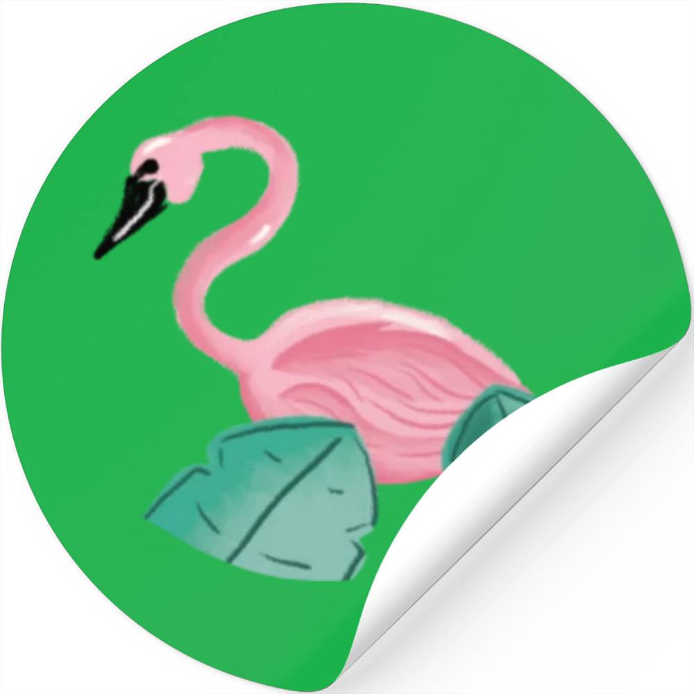 Swan - Pretty Animal For All Bird And Swan Lovers