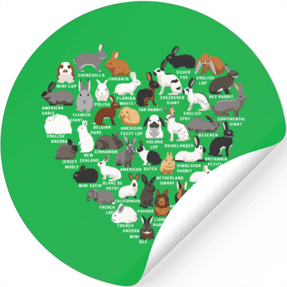 Types Of Rabbit Identification Rabbit