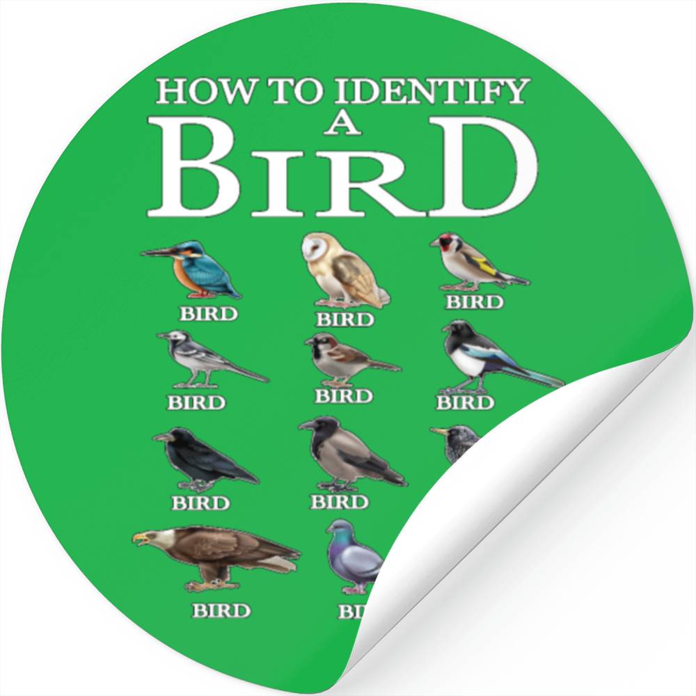 How To Identify A Bird For Bird Watching Funny