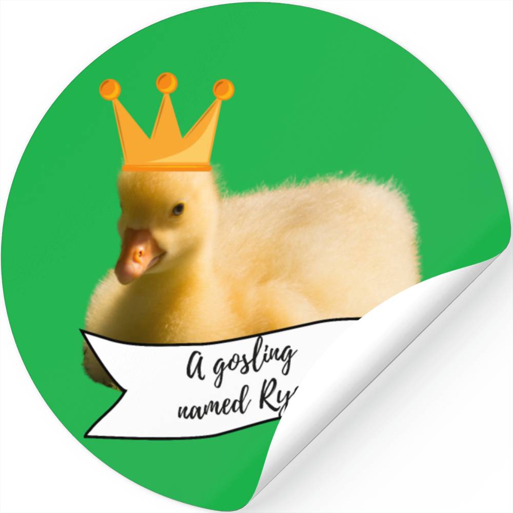 Royal Geese A Gosling Named Ryan