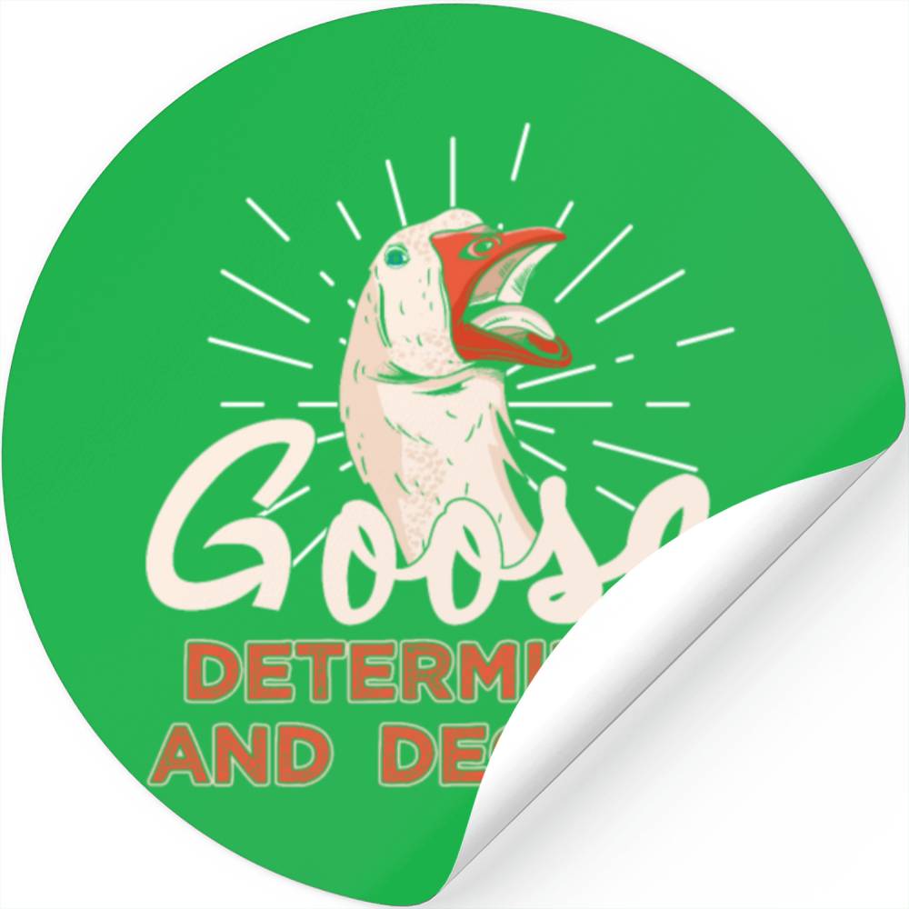 Native American Astrology Goose Totem