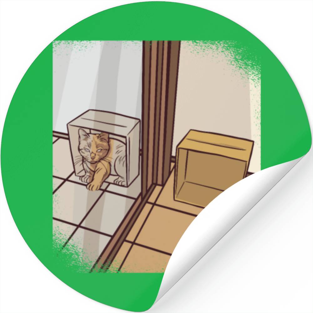 Funny Physics Schrodingers Cat Paradox Box Mirror