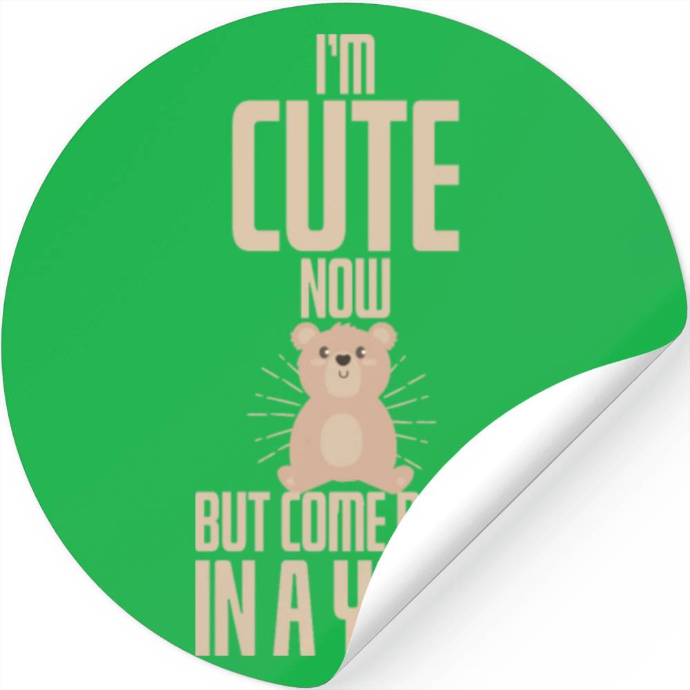 Bear Cub Cute Come Now Back In Year