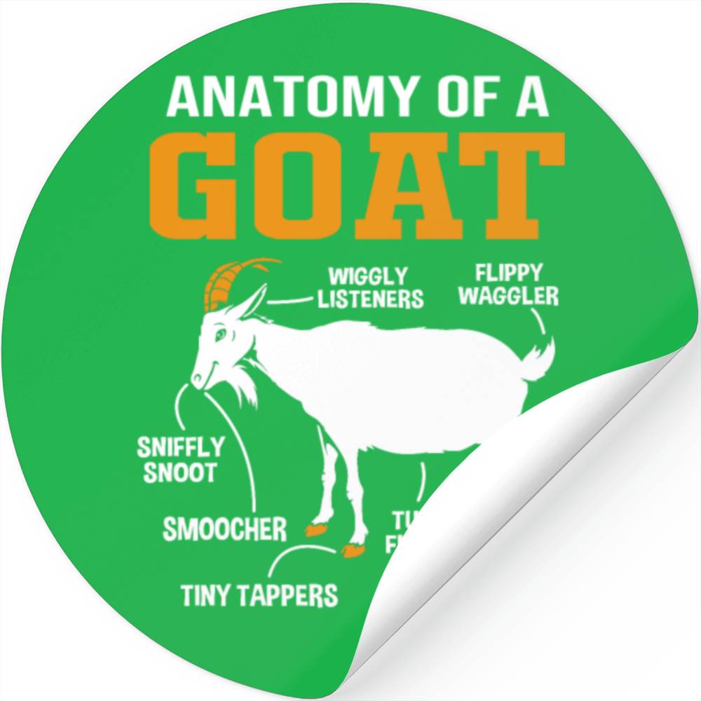 Goat Anatomy Of A Goat