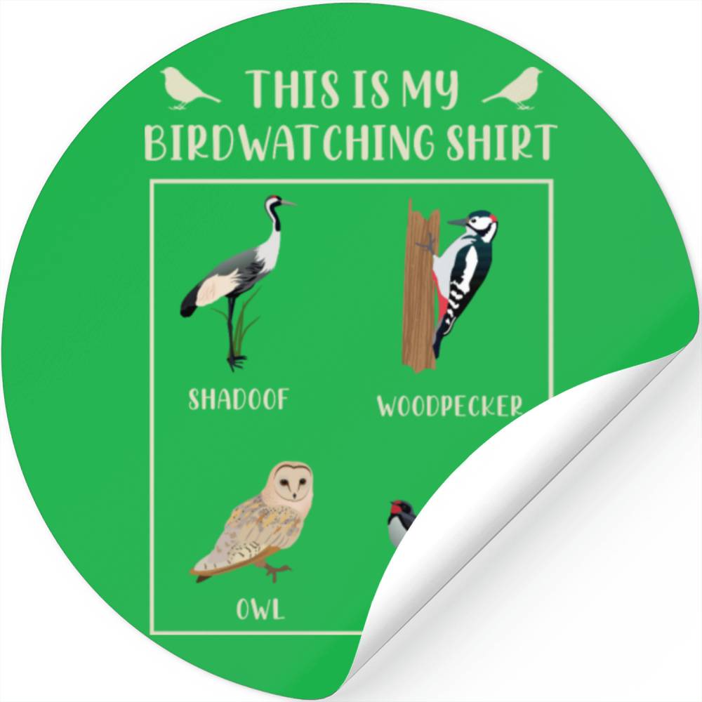 Bird Types Birding This Is My Birdwatching