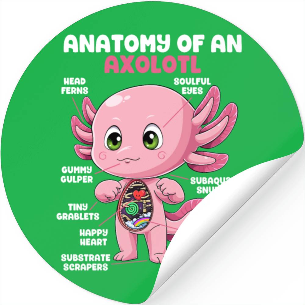 Anatomy Of An Axolotl Mexican Salamander Biology S