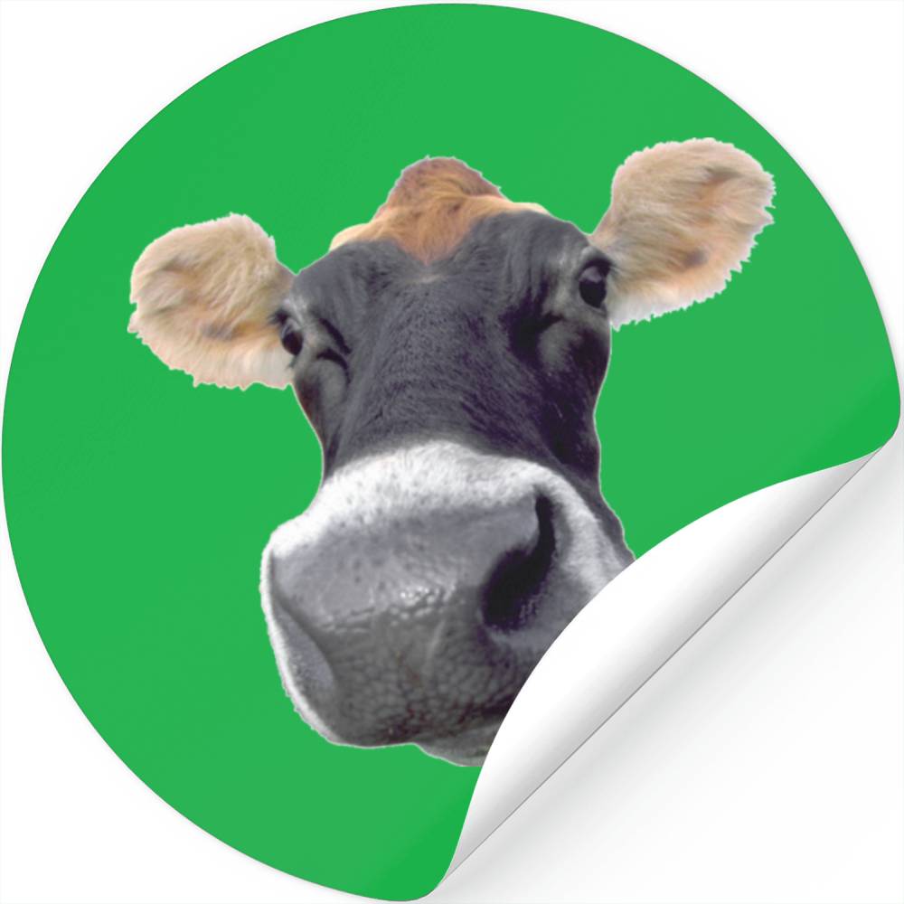 Cow Daisy The Dairy Cow