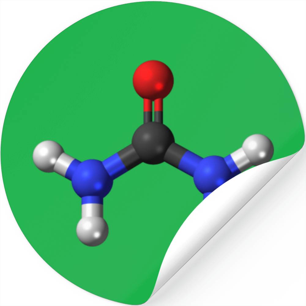 Famous (and Infamous) Molecules 28