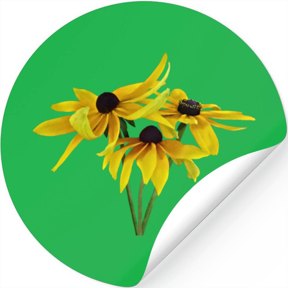 Black Eyed Susans With Curly Petals Stickers