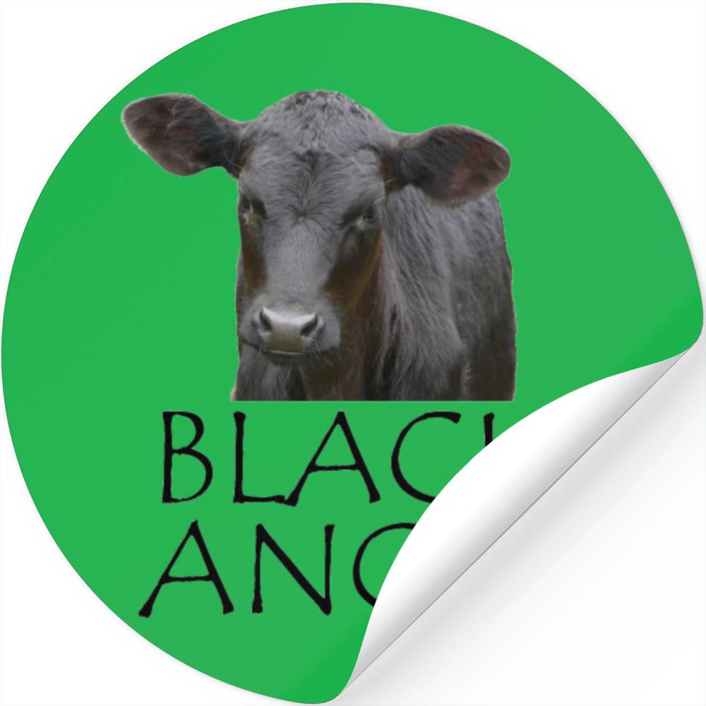 Black Angus Cow Stickers