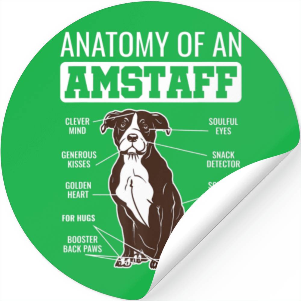 Anatomy Of An Amstaff American Staffordshire Terri Stickers