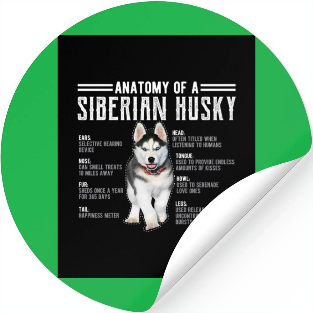 Anatomy Of A Siberian Husky Stickers