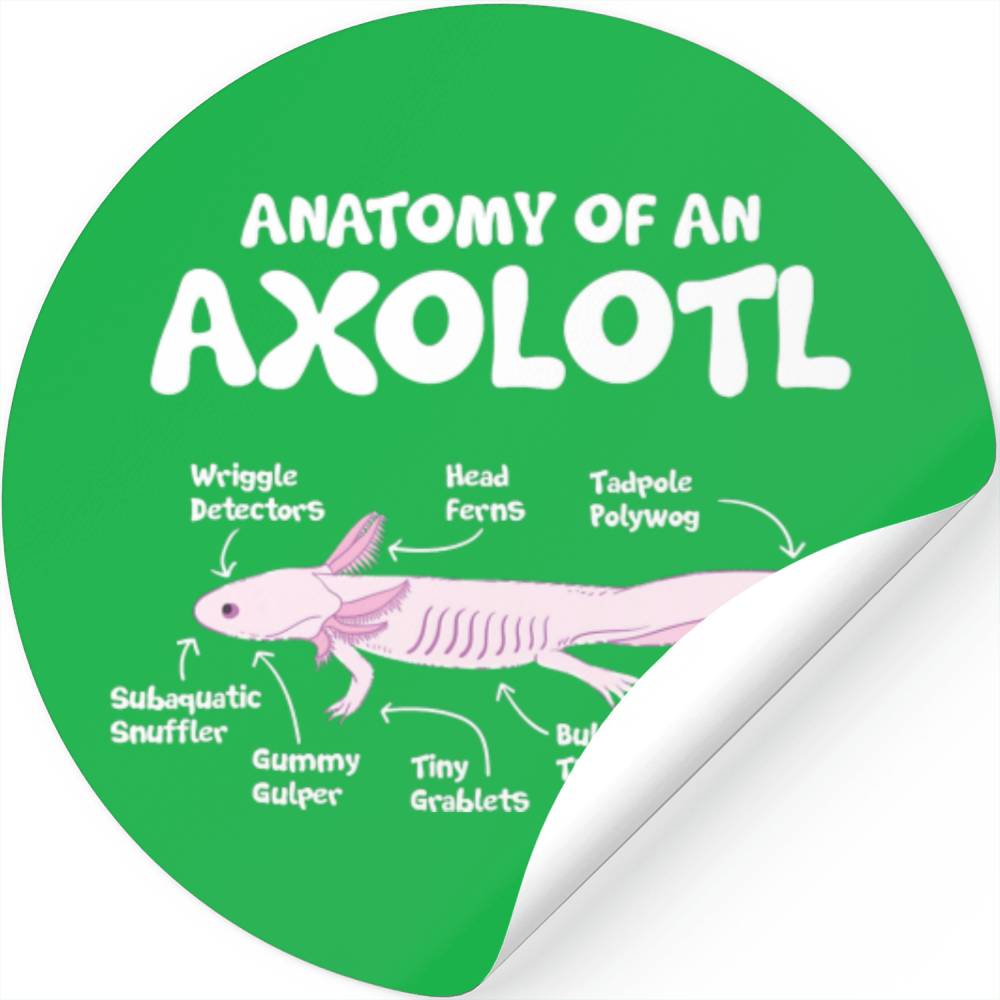 Anatomy Of An Axolotl Axolotls Biology Science Stickers