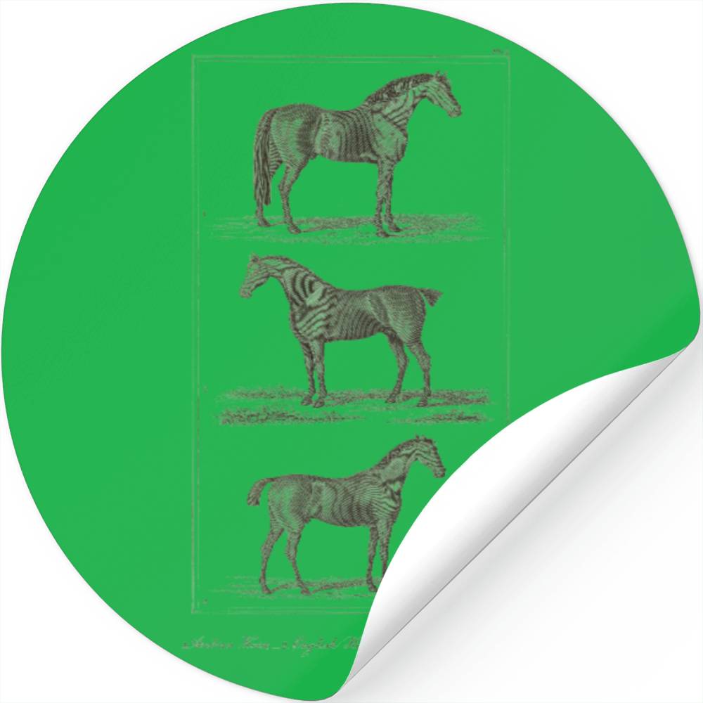 Vintage 1800s Old Horse Breeds Arabian Hunter Race Stickers
