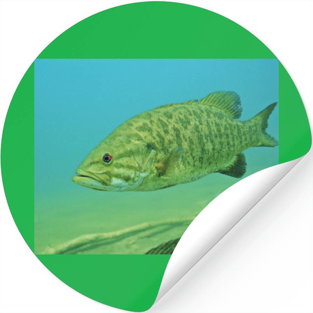 Smallmouth Bass Stickers