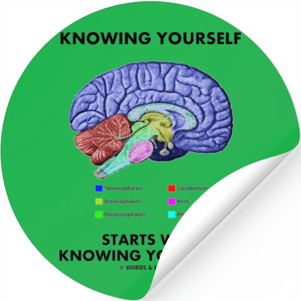 Knowing Yourself Starts With Knowing Your Brain Stickers