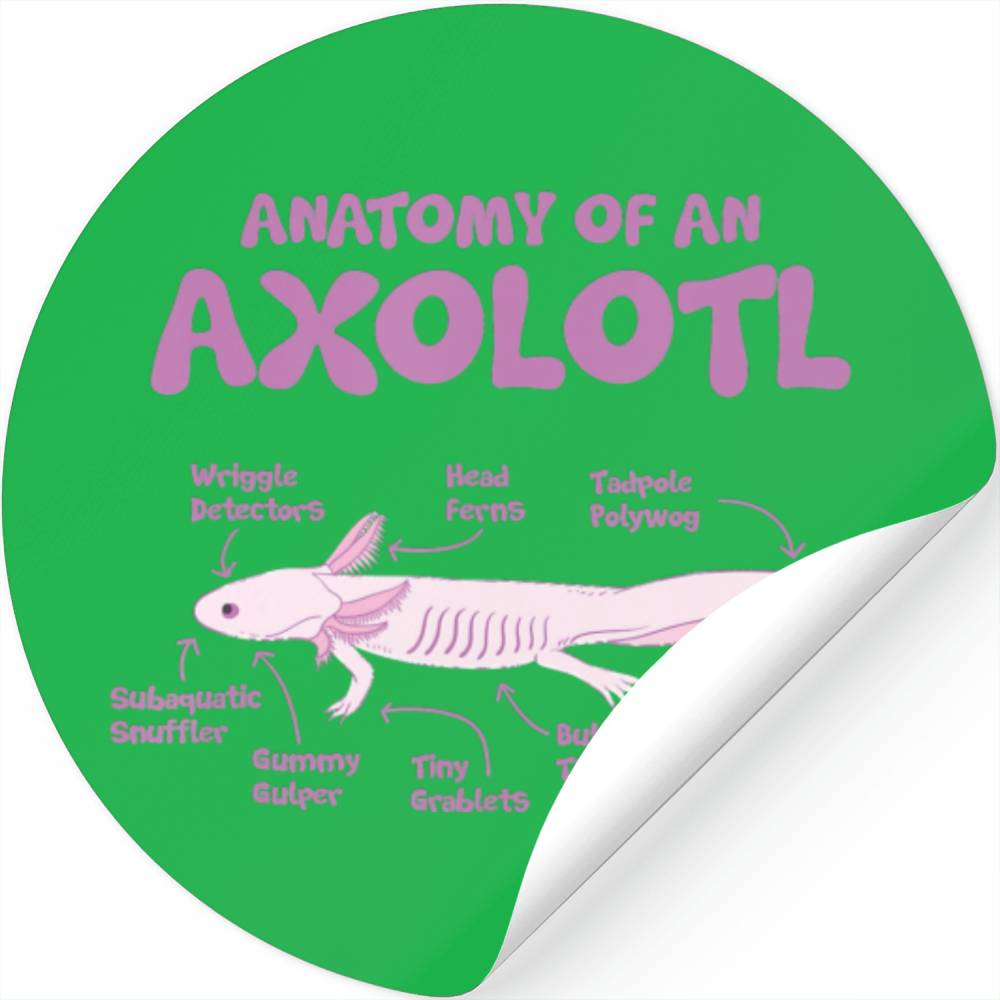 Anatomy Of An Axolotl Axolotls Biology Science . Plus Size Stickers